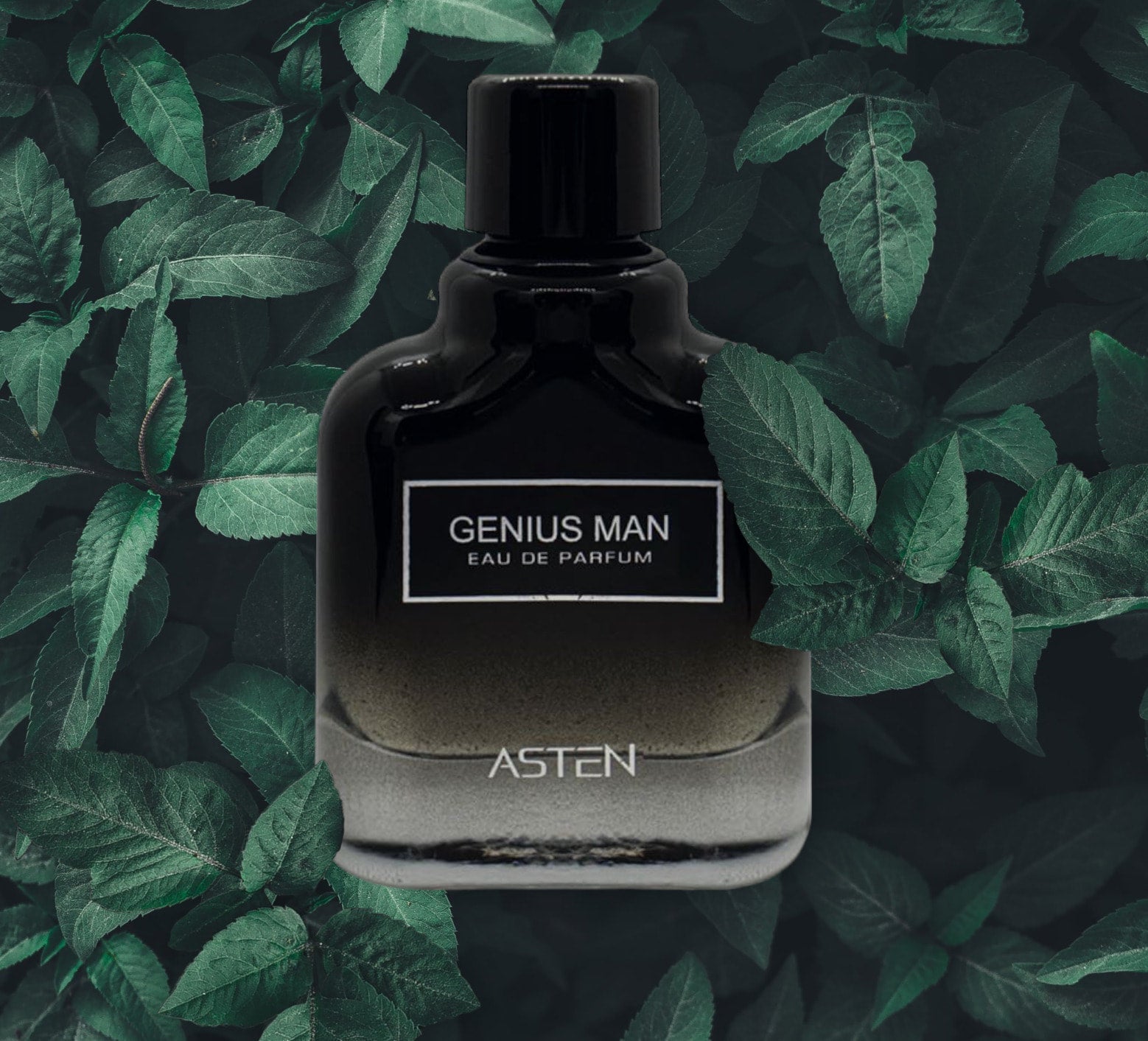 Genius Man 100ml EDP Asten | Shaay Styles